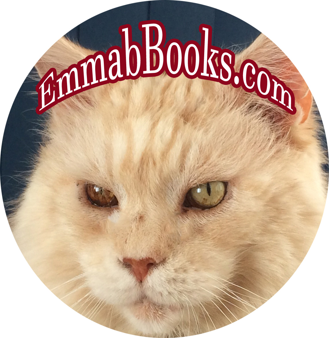 EmmabBooks.com – Book Reviews by Emma b Books